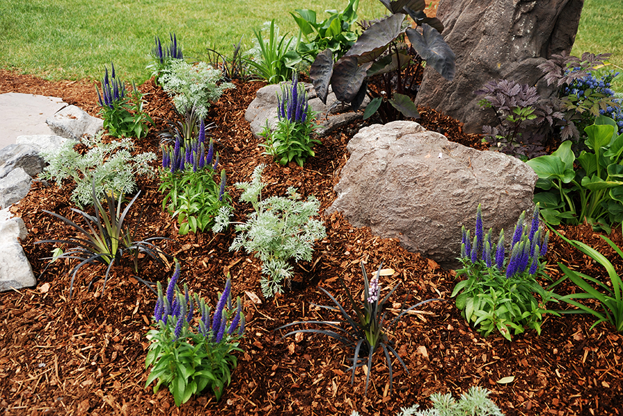 Best Xeriscaping Designs – FiveSTAR Landscape, Sacramento Area ...
