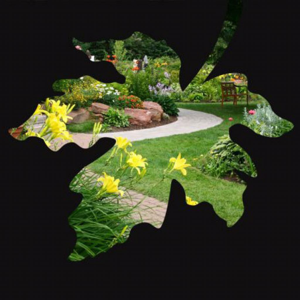 FiveSTAR Landscape, Sacramento Area Landscape Design and Landscaping ...