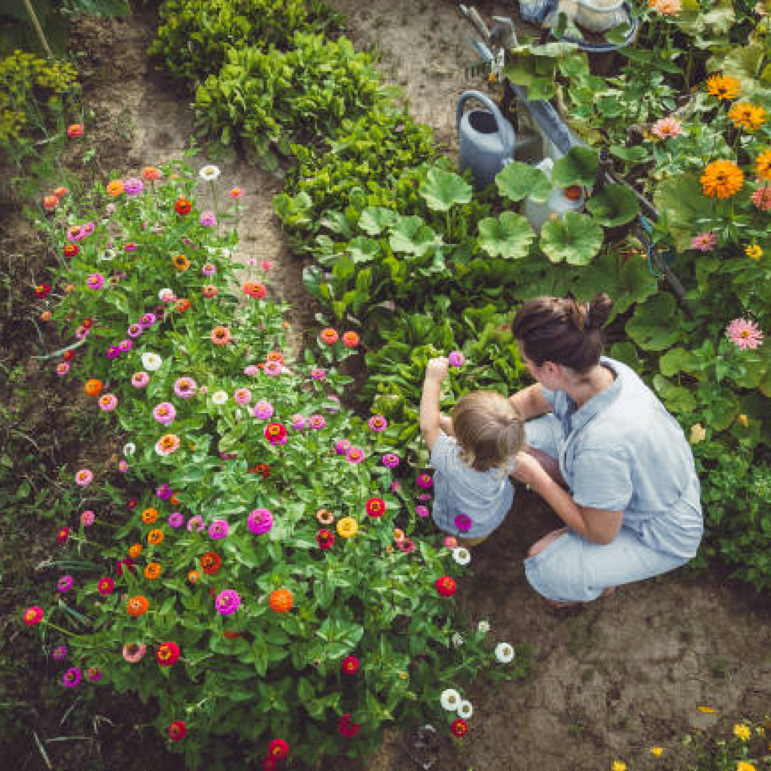 Edible Landscape Design Ideas to Make it More Aesthetically Pleasing ...